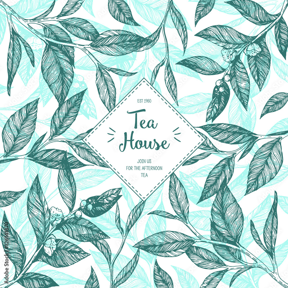 Vector tea illustration. Tea leaves concept frame illustration. Menu ...