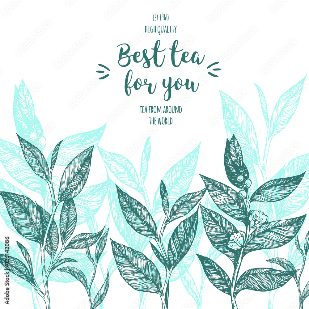 Vector card design with hand drawn tea leaves. Vector illustration for ...
