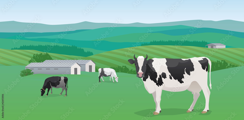 Seamless horizontal rural landscape, hills, fields, dairy farm, cows ...