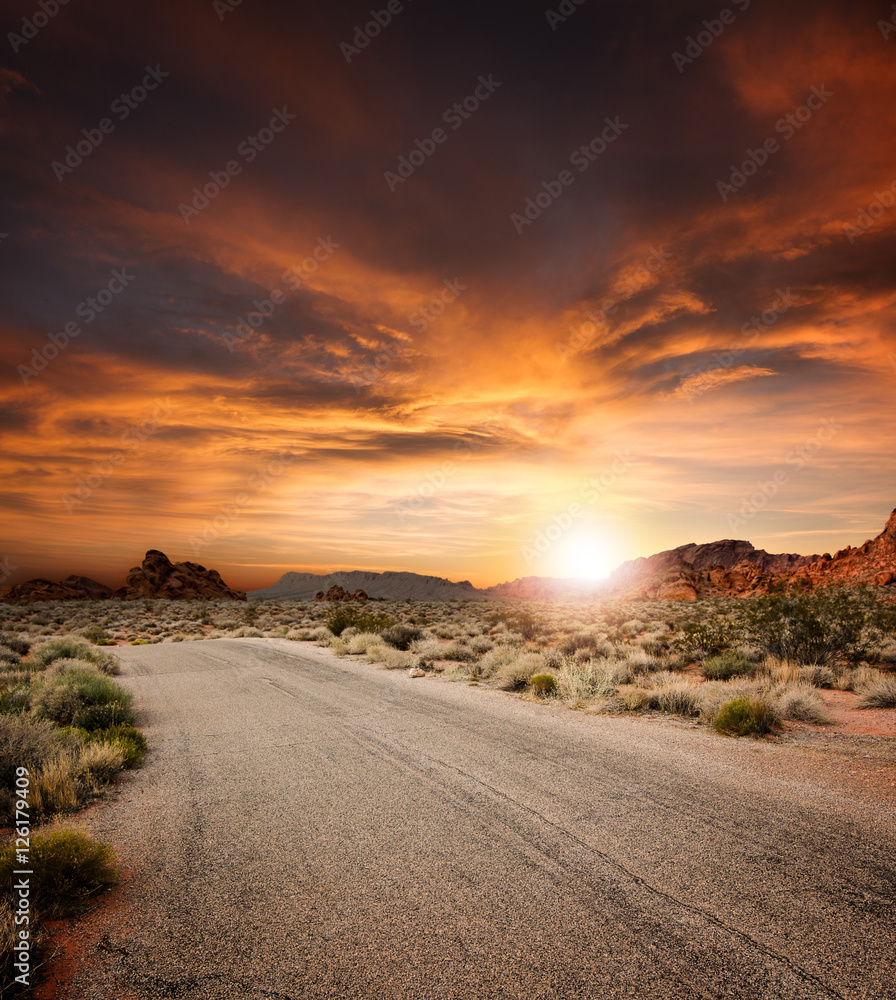 Beautiful Desert Sunset