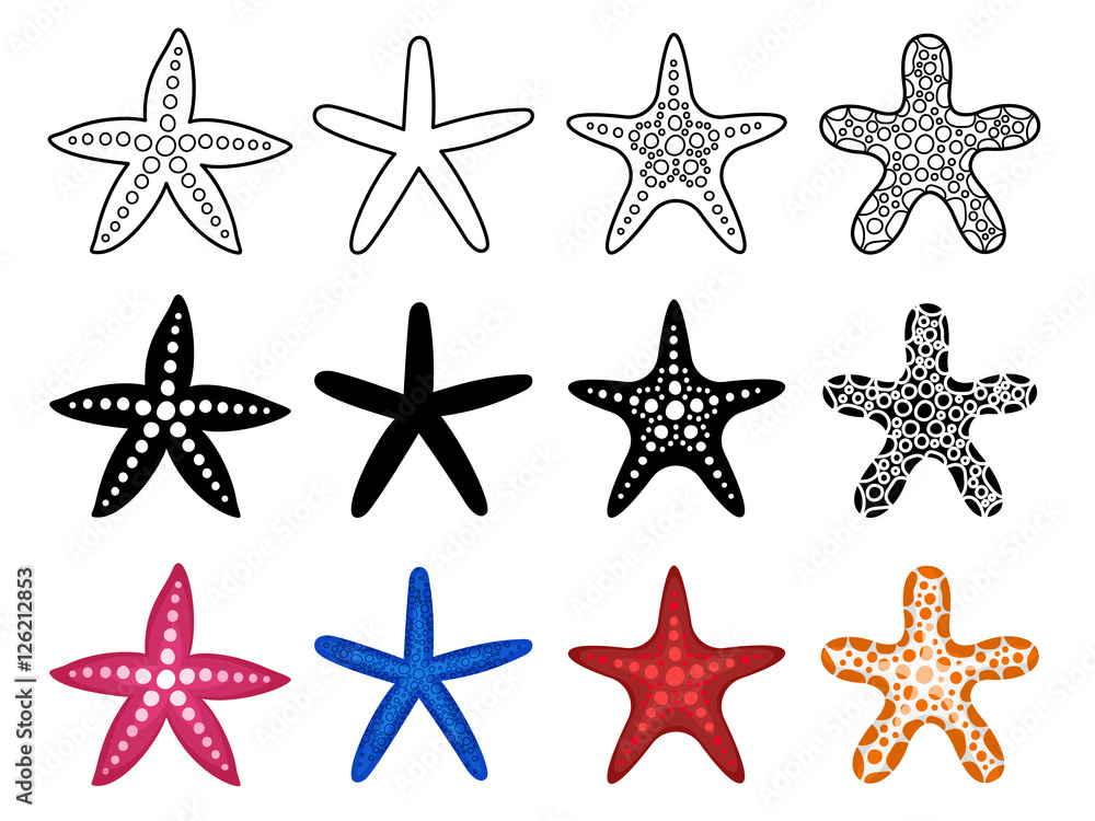 Starfish icon set on white background. Sea life vector marine ...