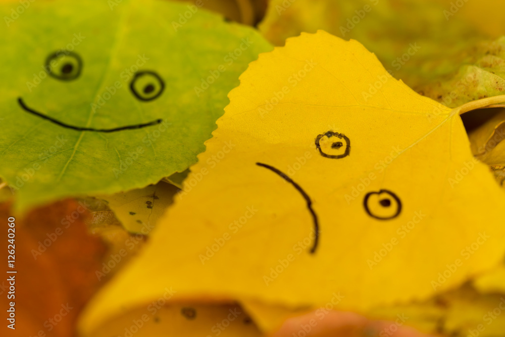 Green and yellow leaves with a picture of happy and sad faces on the ...