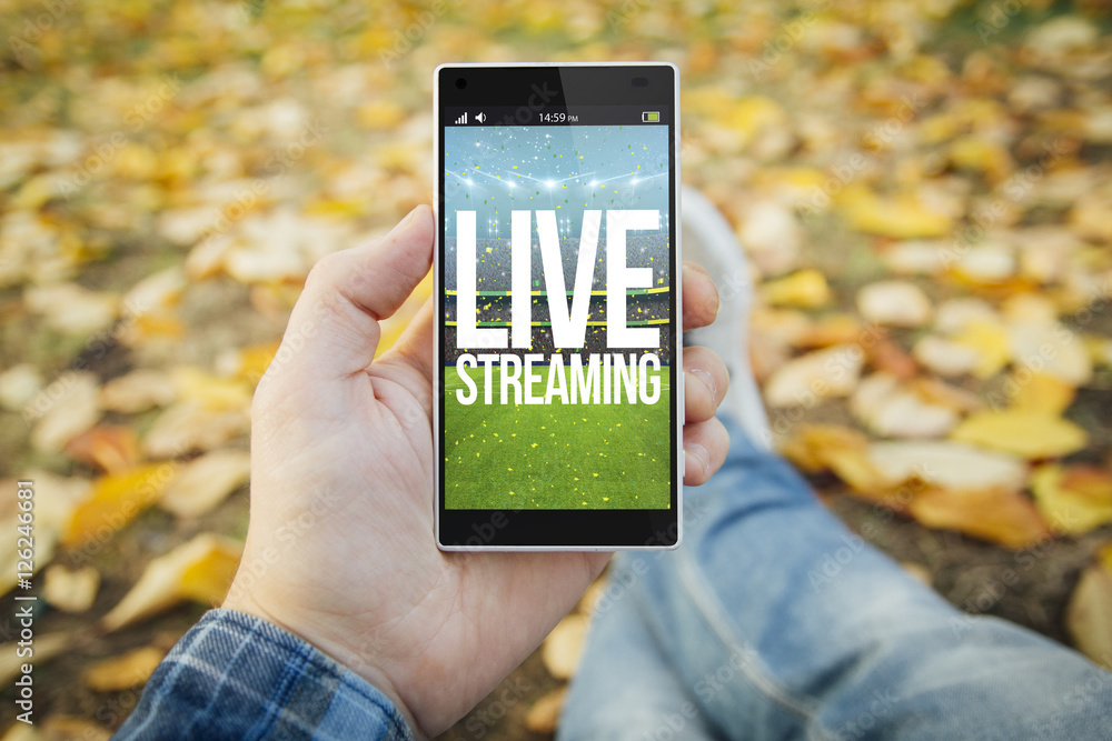 man in the park watching live streaming event Stock Photo | Adobe Stock