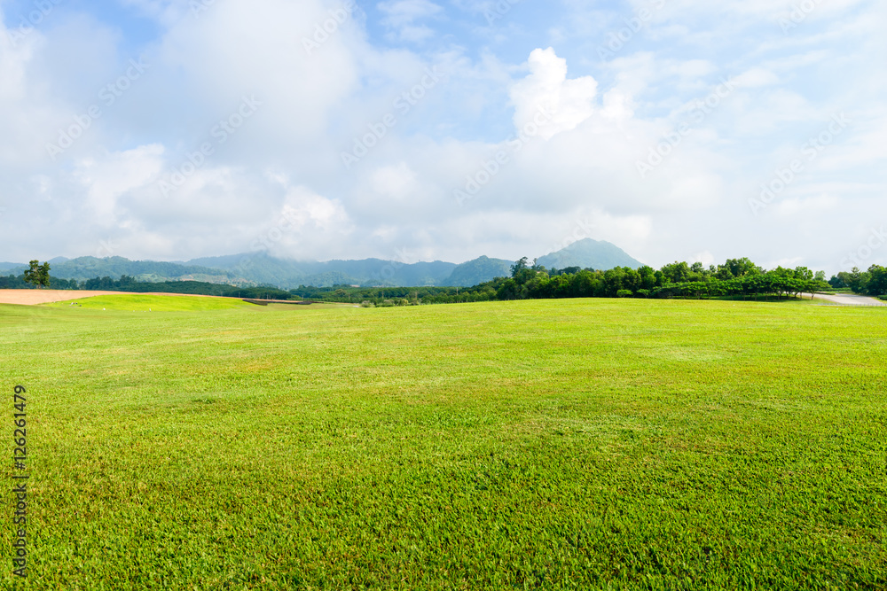 grass field background Stock Photo | Adobe Stock