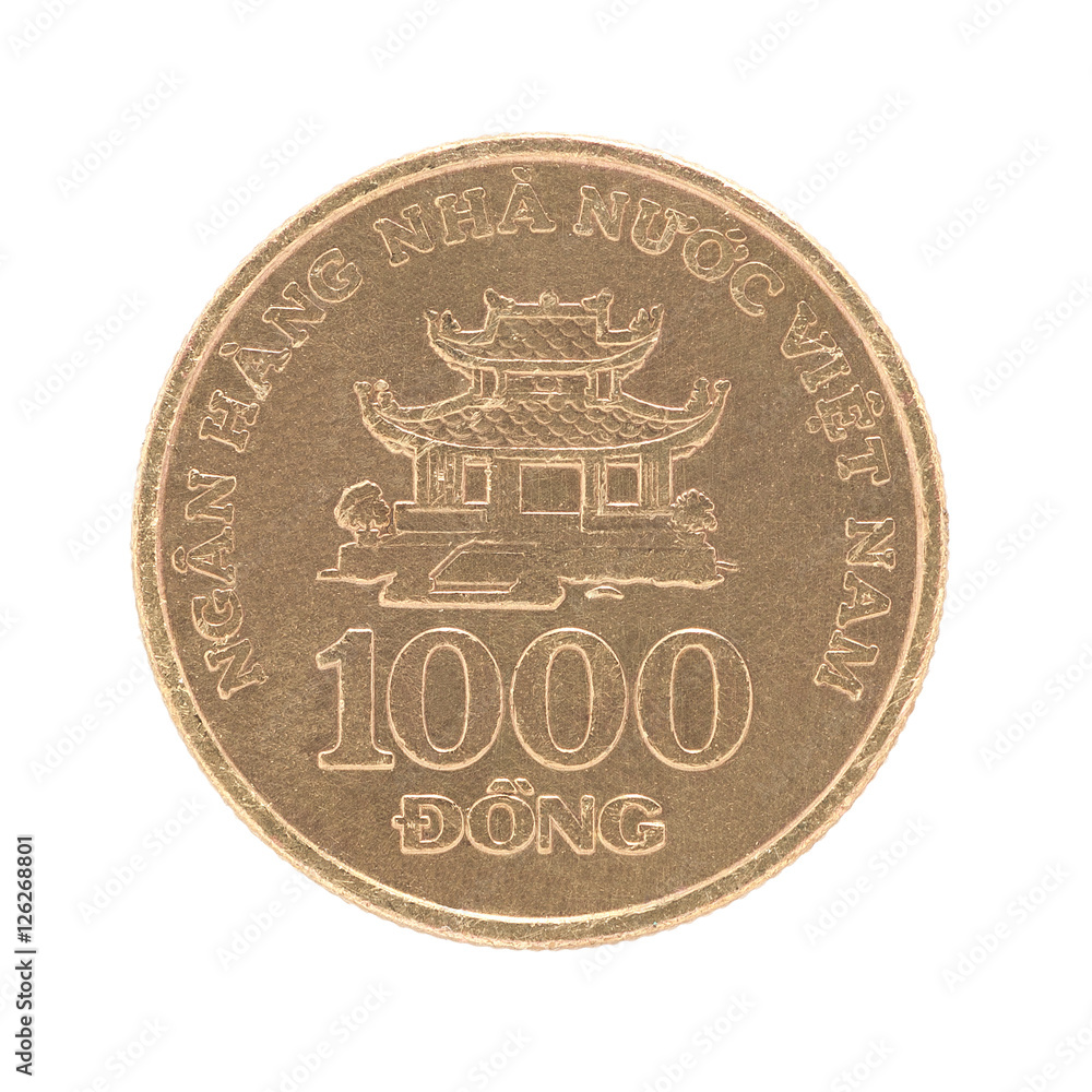 Vietnamese Gold Dong