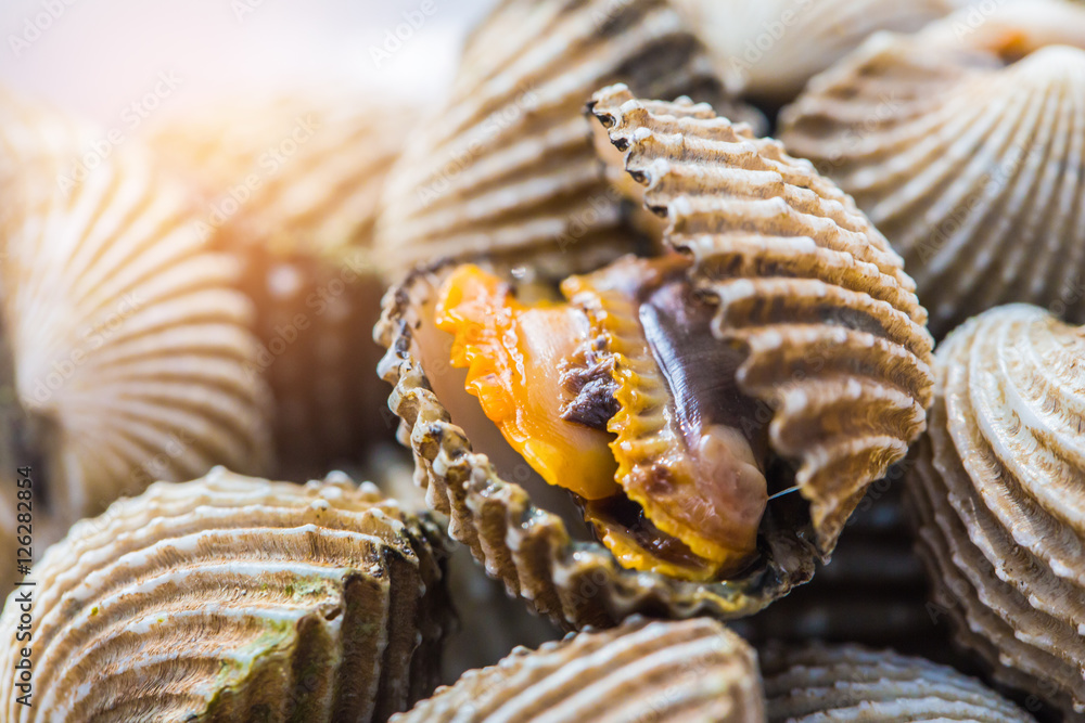 Delicious boiled or steamed cockles(Scallop seafood) food background or ...