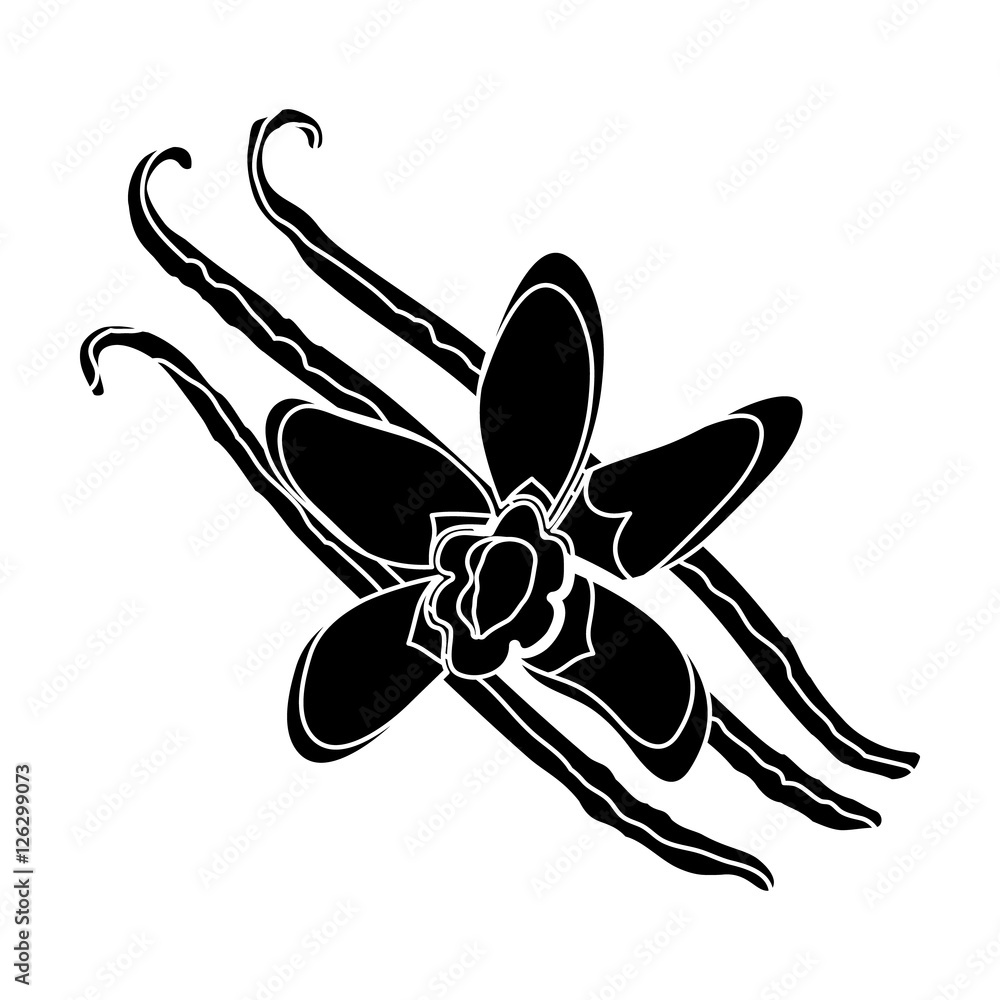 Vanilla icon in black style isolated on white background. Herb an ...