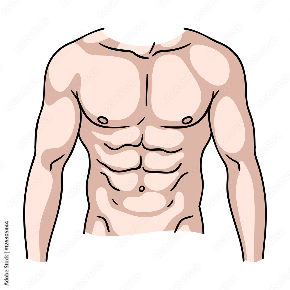 Muscular torso icon in cartoon style isolated on white background ...