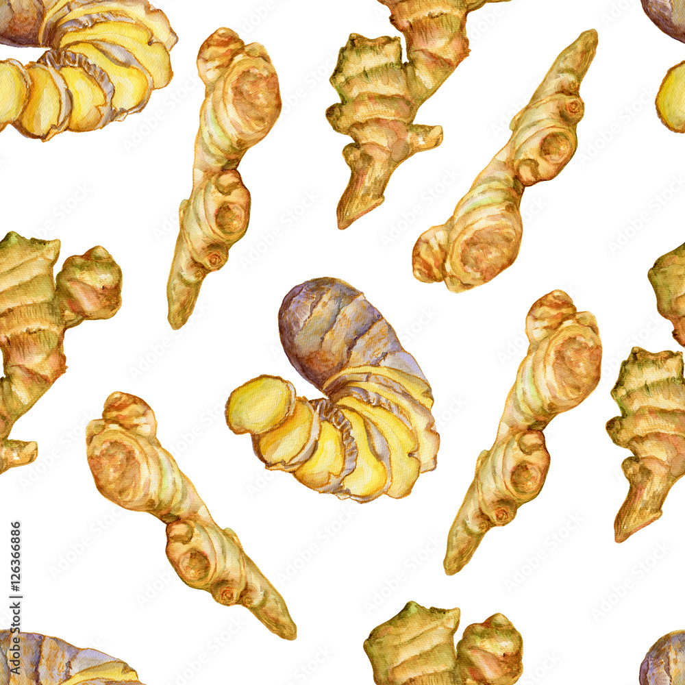 Watercolor ginger root, ginger cut into slices, Hand drawn illustration ...