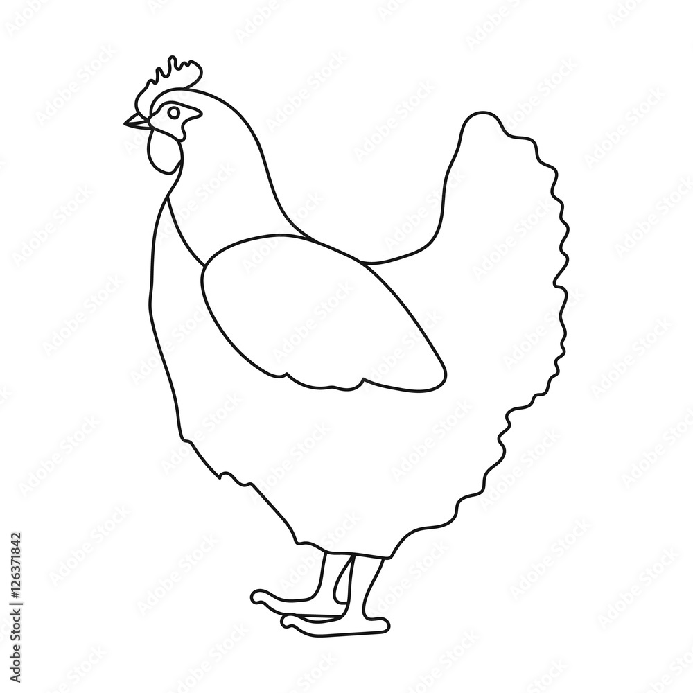 Chicken icon in outline style isolated on white background. Bird symbol ...