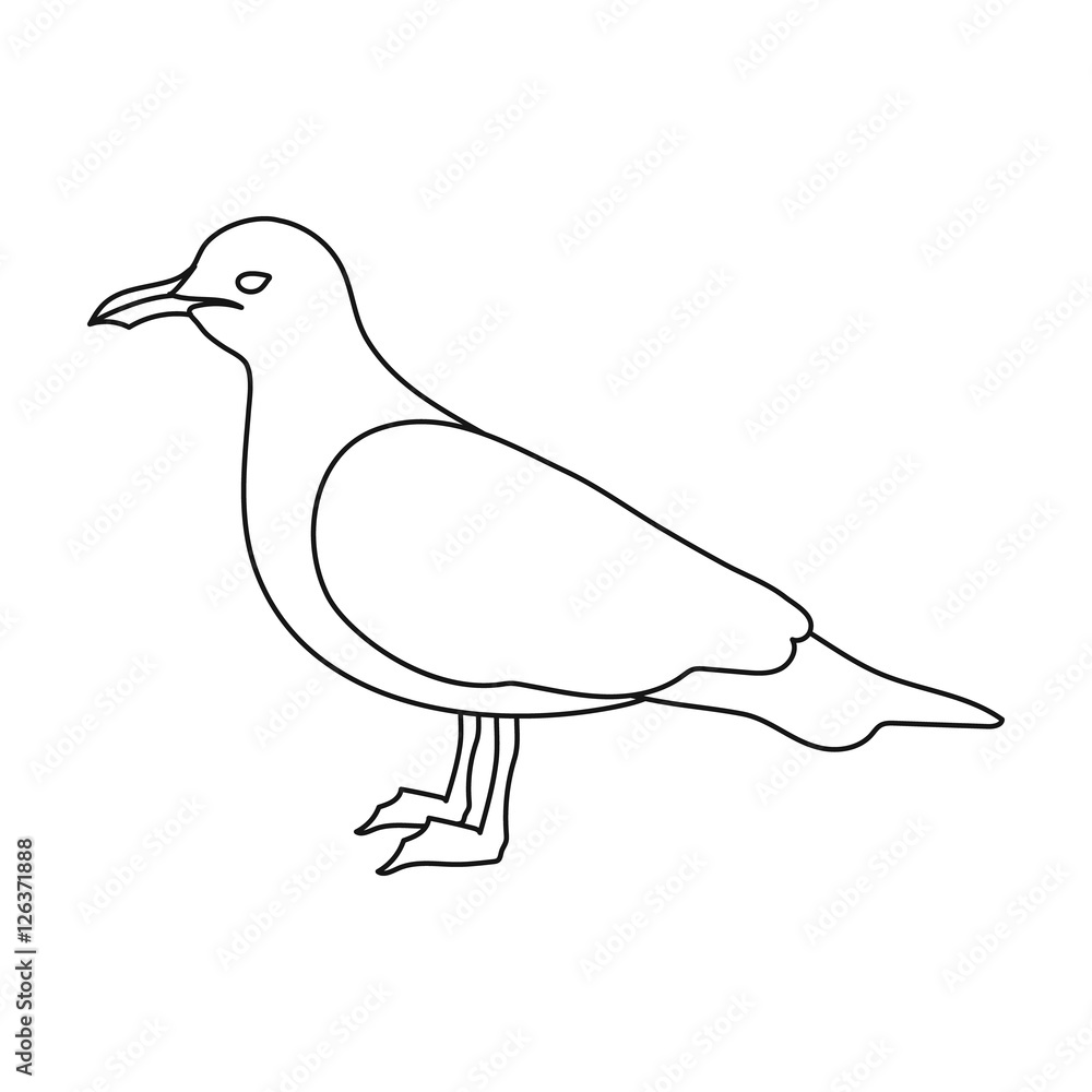 Seagull icon in outline style isolated on white background. Bird symbol ...