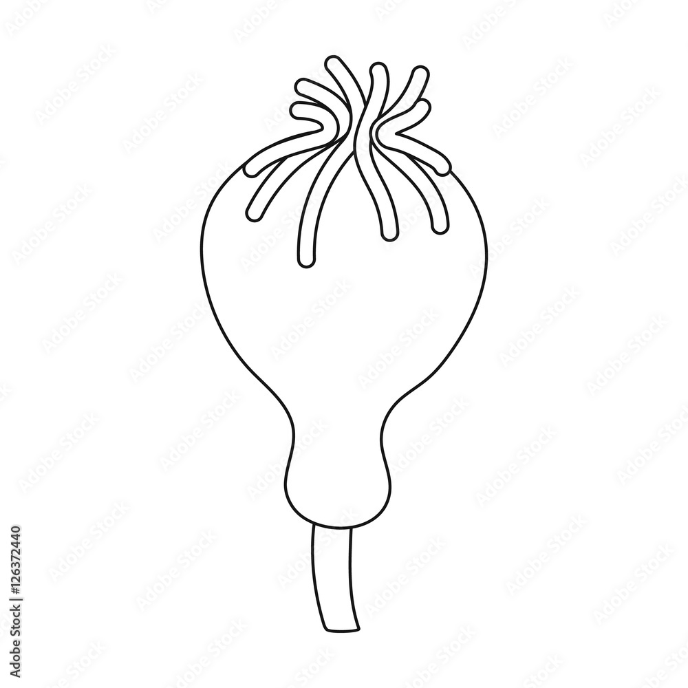 Opium poppy icon in outline style isolated on white background. Drugs ...