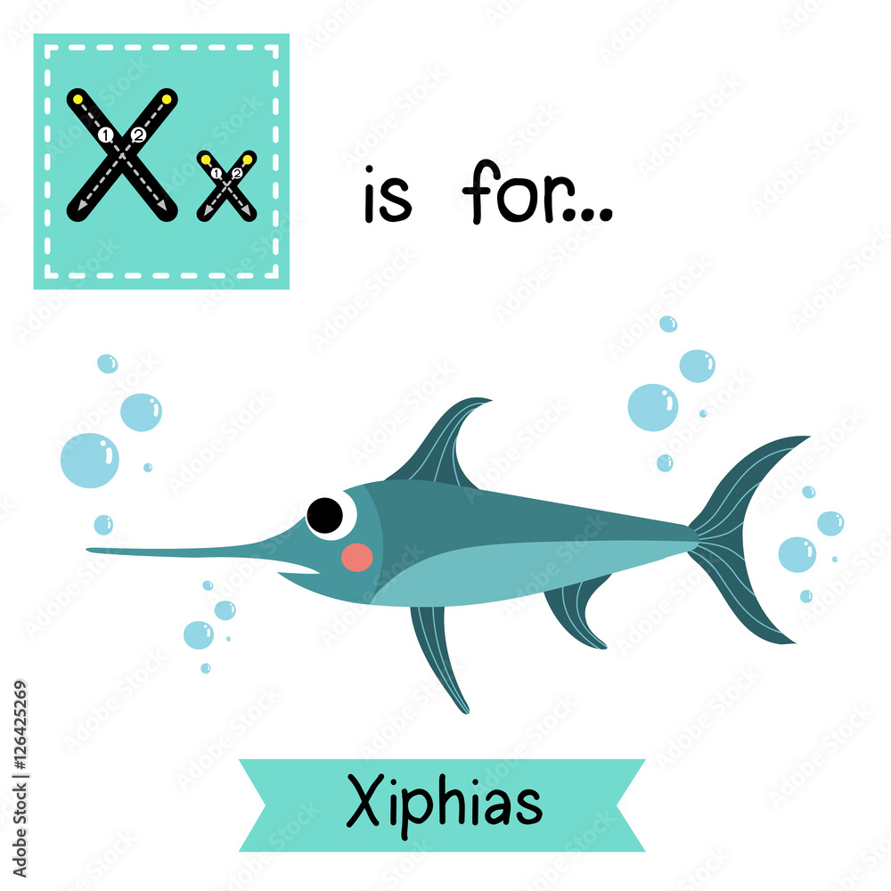 X letter tracing. Xiphias (Swordfish). Cute children zoo alphabet flash ...