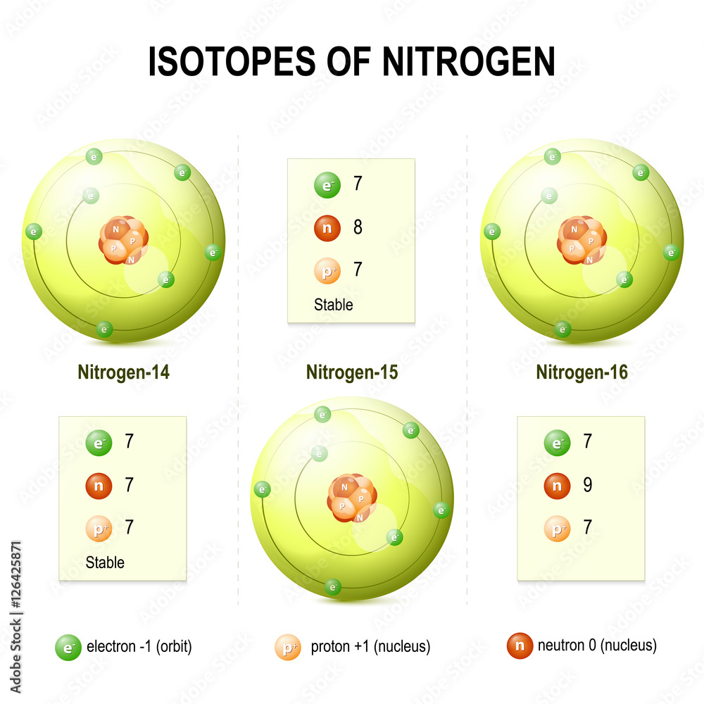 Isotopes of Nitrogen Stock Vector | Adobe Stock