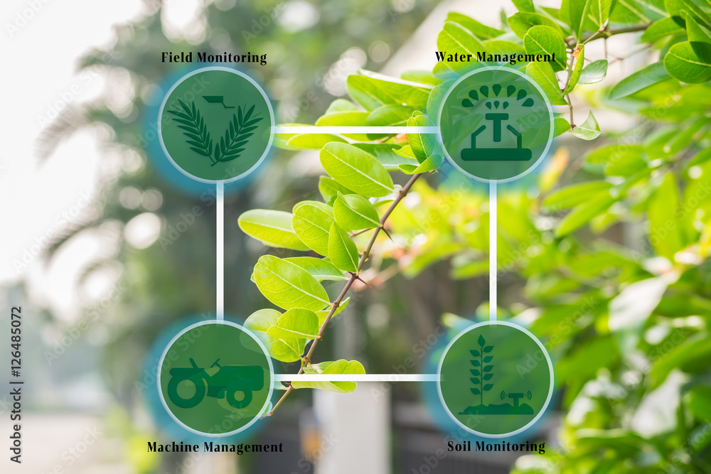 Agriculture technology concept. Agritech system icons on tree branch ...