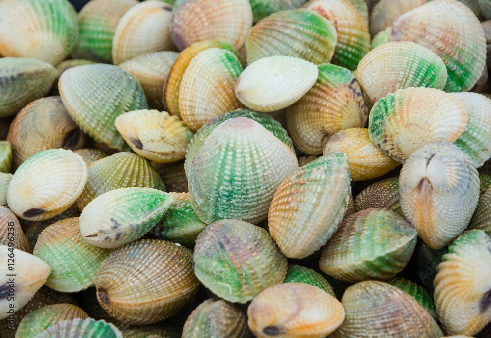 Clams On The Beach
