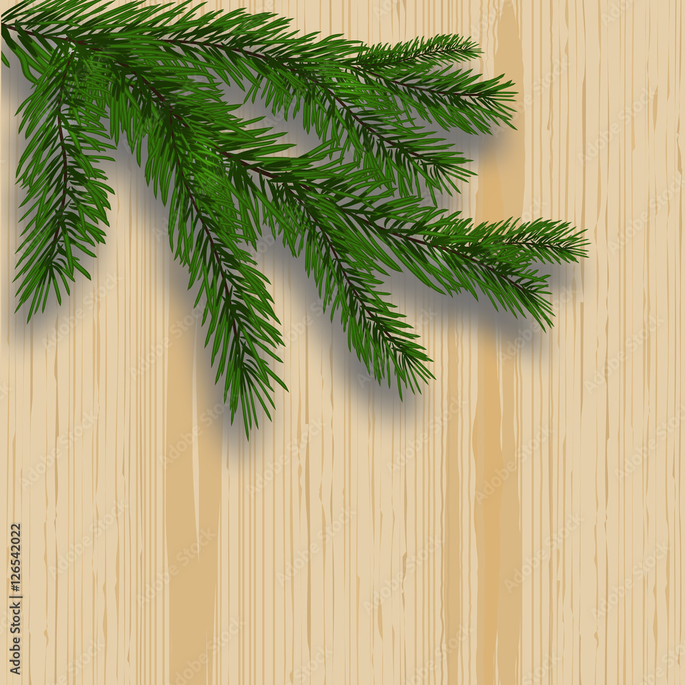 Green lush branch realistic fir trees and shade. Background with wooden ...