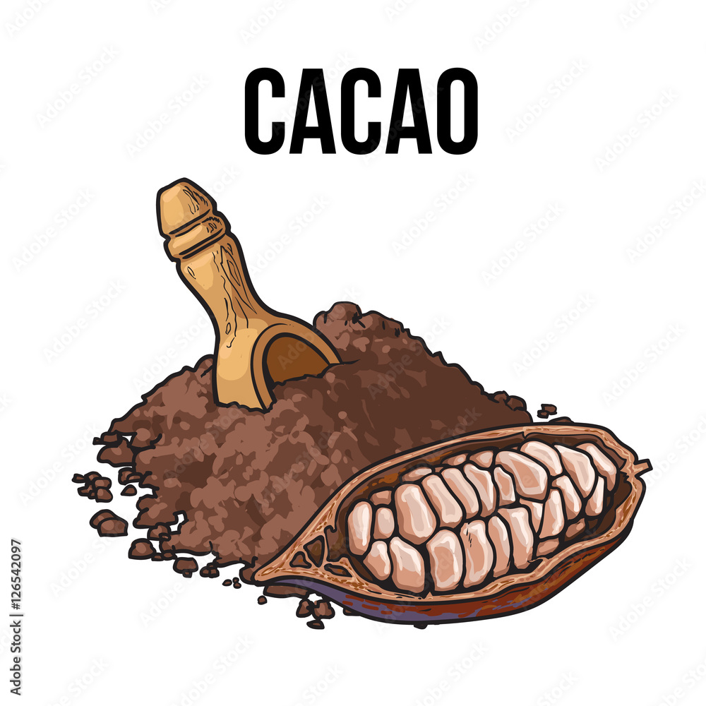 Hand drawn pile of cocoa powder with Half of ripe cacao fruit, sketch ...