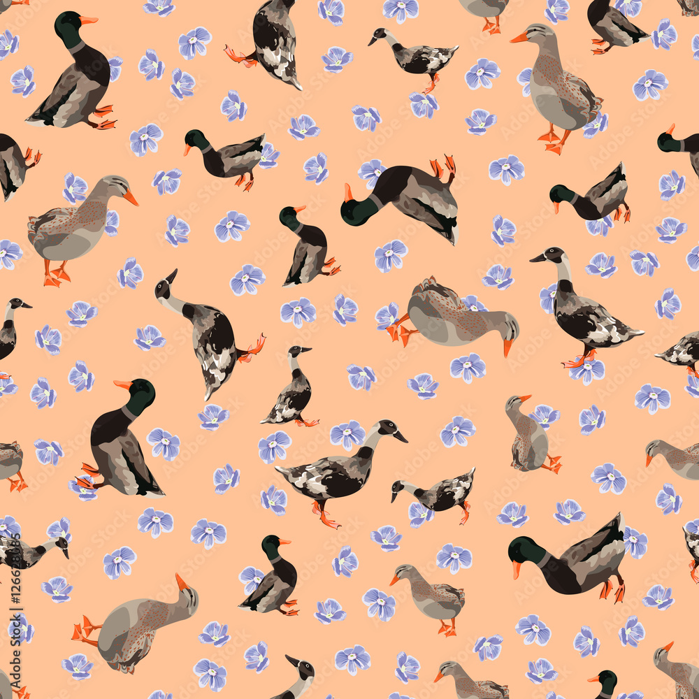 ducks and blue flowers. Vector seamless texture Stock Vector | Adobe Stock