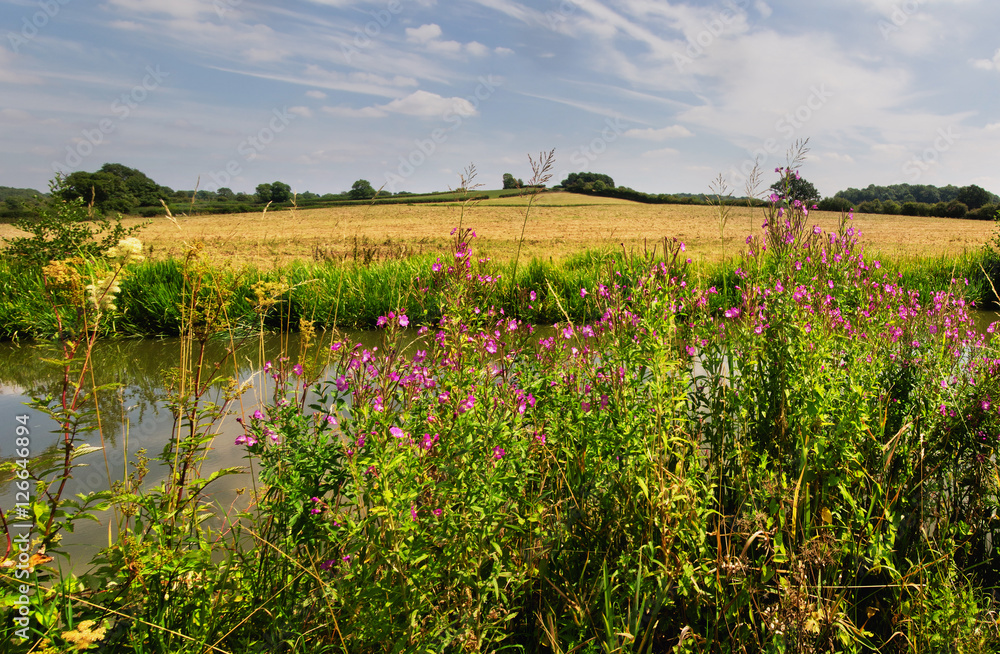 field agriculture farm crops england uk Stock Photo | Adobe Stock