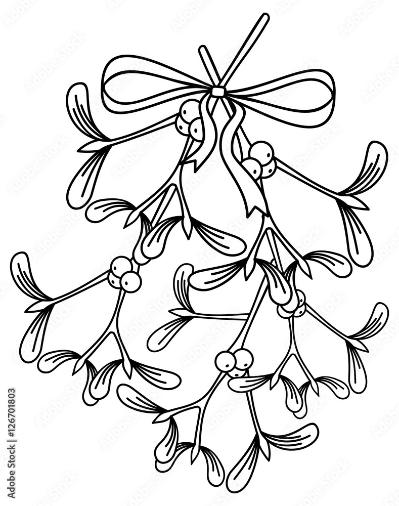 Outline image of mistletoe. Outline vector image. Stock Vector | Adobe ...