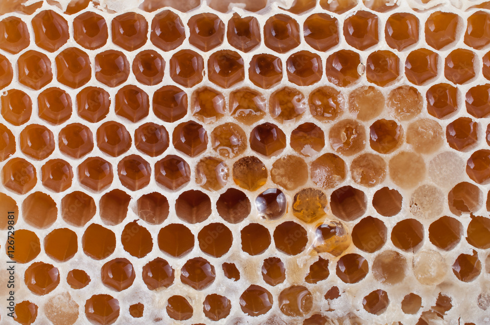 honey bee texture for background Stock-Foto | Adobe Stock