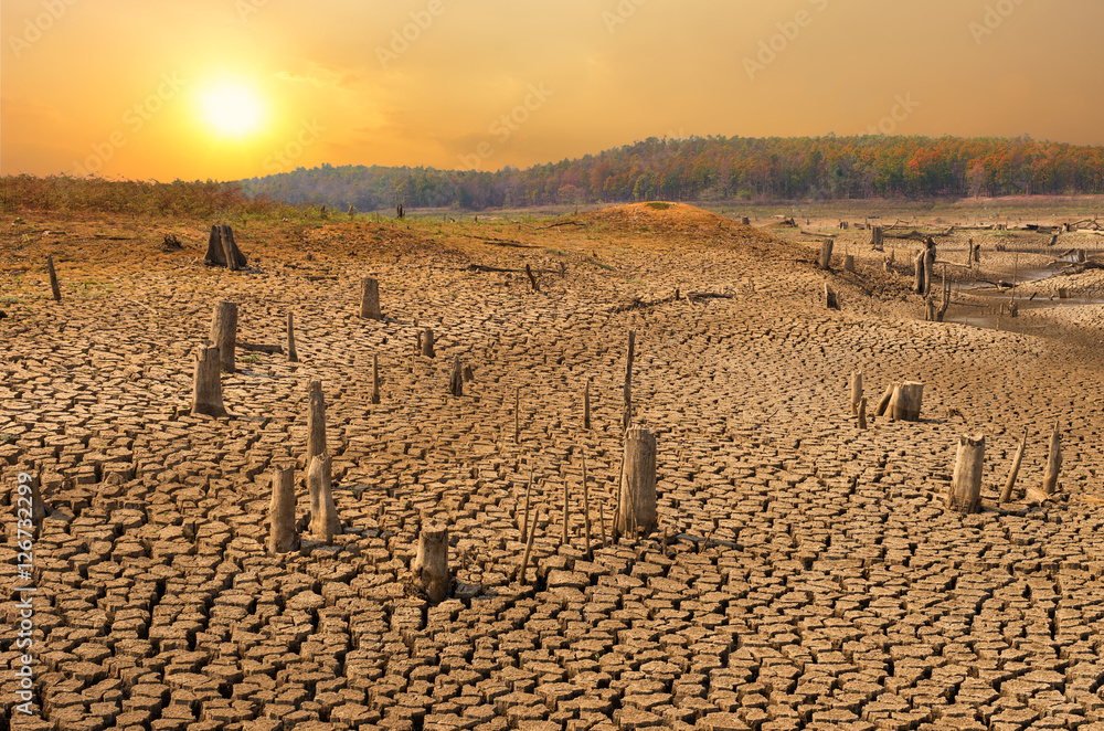 Global warming, Drought. Stock Photo | Adobe Stock
