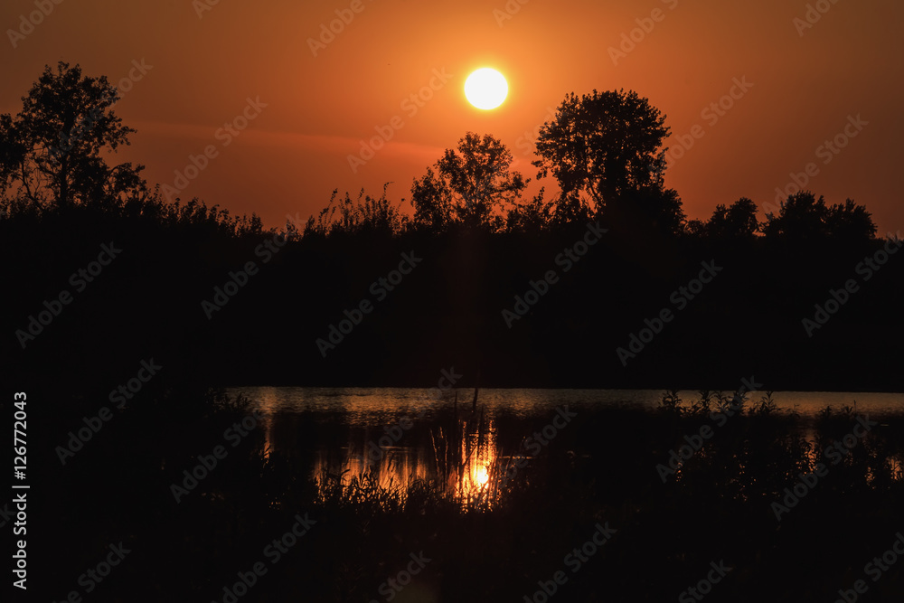 Russian trees at sunset Stock Photo | Adobe Stock