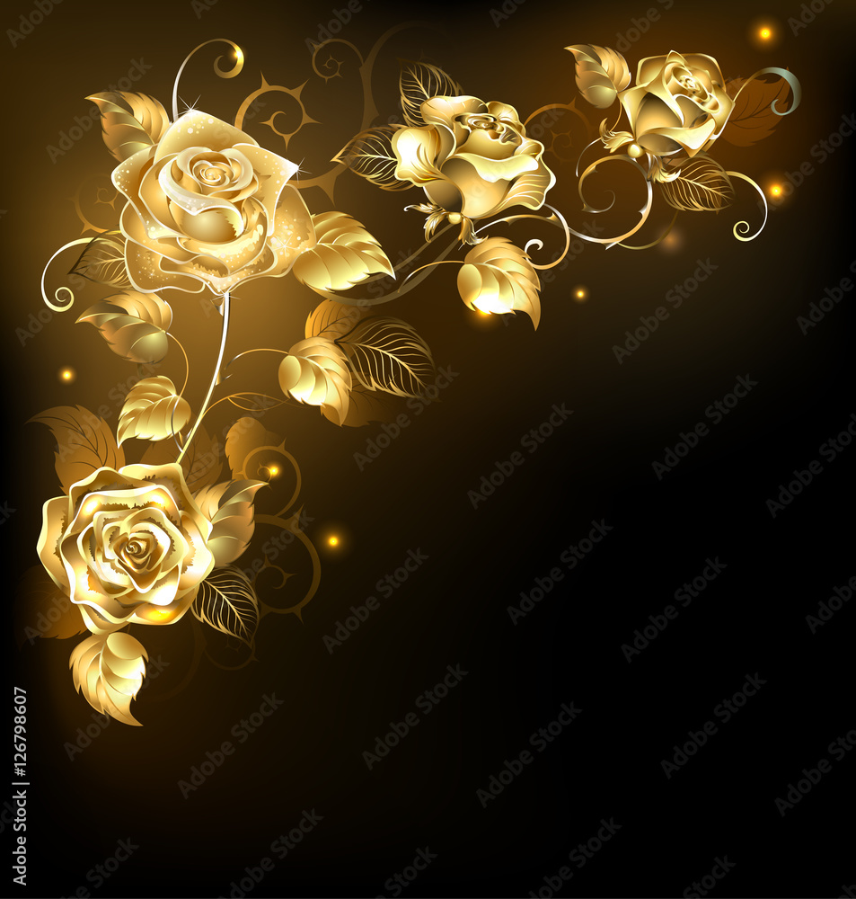 Gold rose on dark background Stock Vector | Adobe Stock