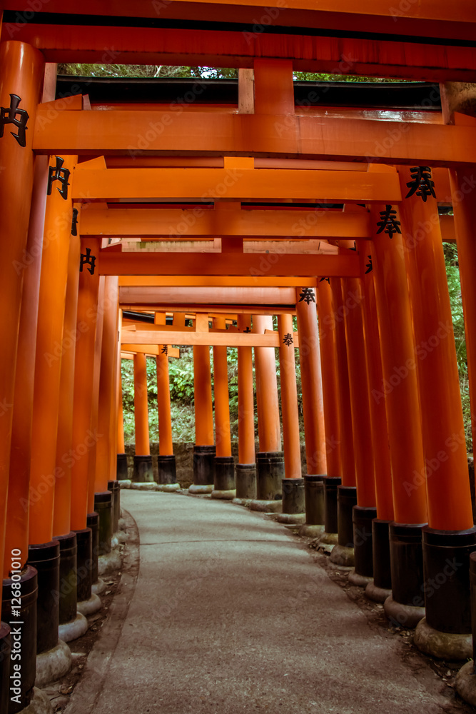 Torii is traditional Japanese Gates Path of Fushimi Inari-taisha Shrine ...