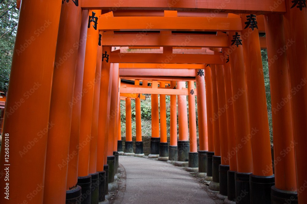 Torii is traditional Japanese Gates Path of Fushimi Inari-taisha Shrine ...