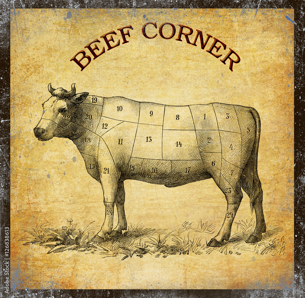 Beef corner, beef chart with numbered cuts, grunge background added ...