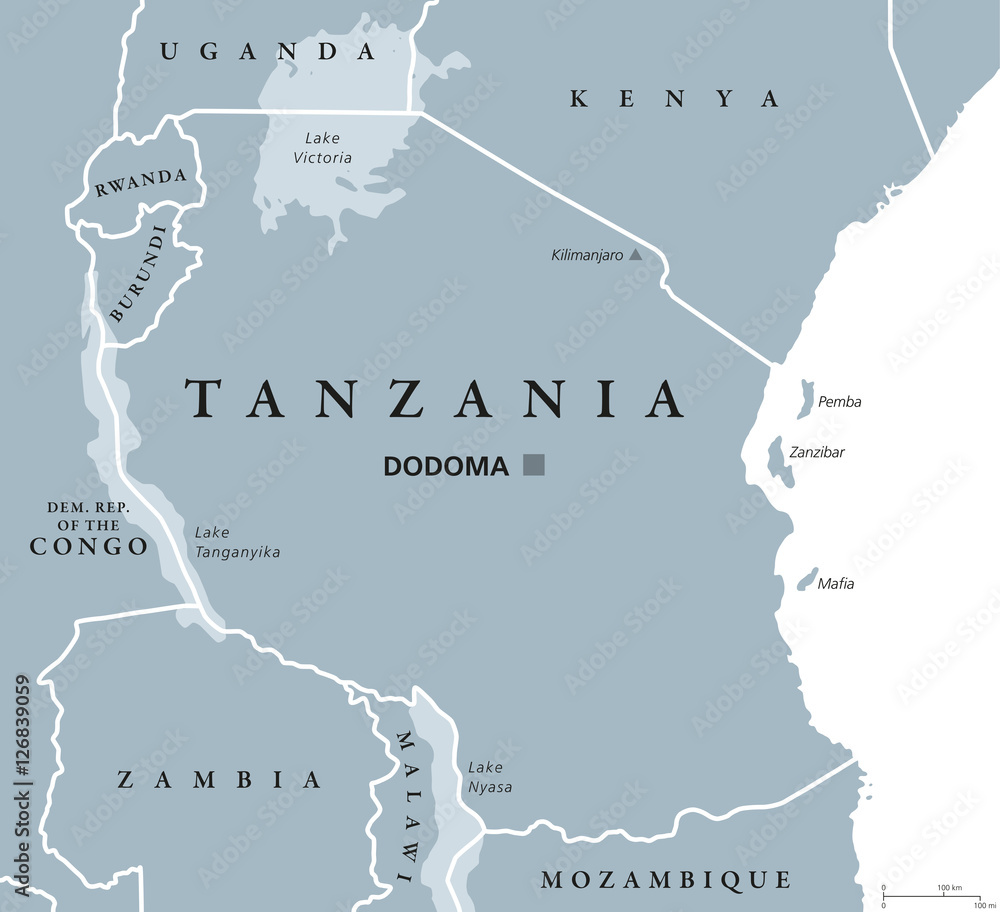 Tanzania political map with capital Dodoma, national borders, islands ...