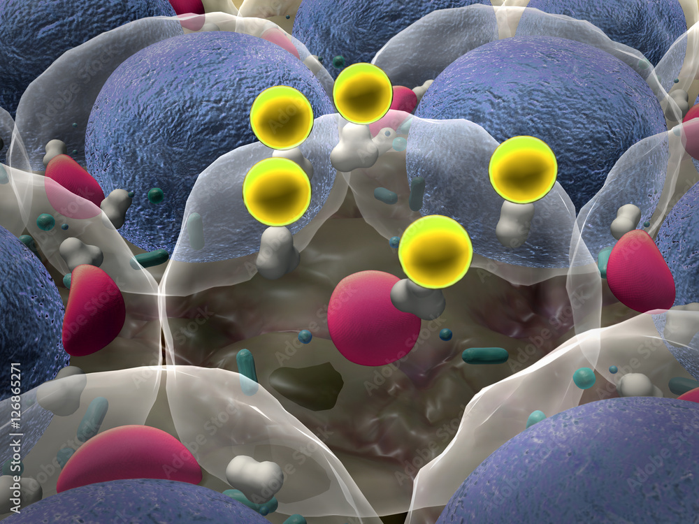 field of fat cells, High quality 3d render of fat cells, cholesterol in ...