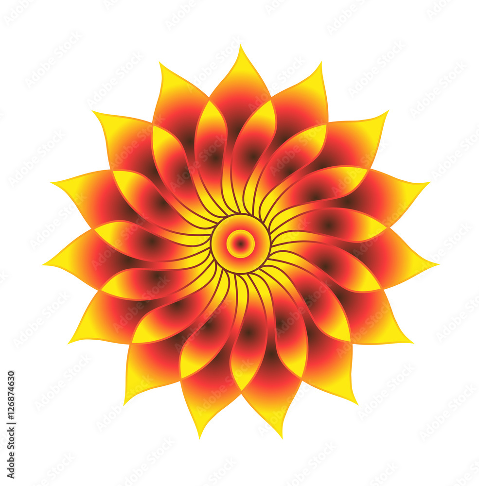 Colored flower vector isolated on white, fiore colorato vettoriale ...