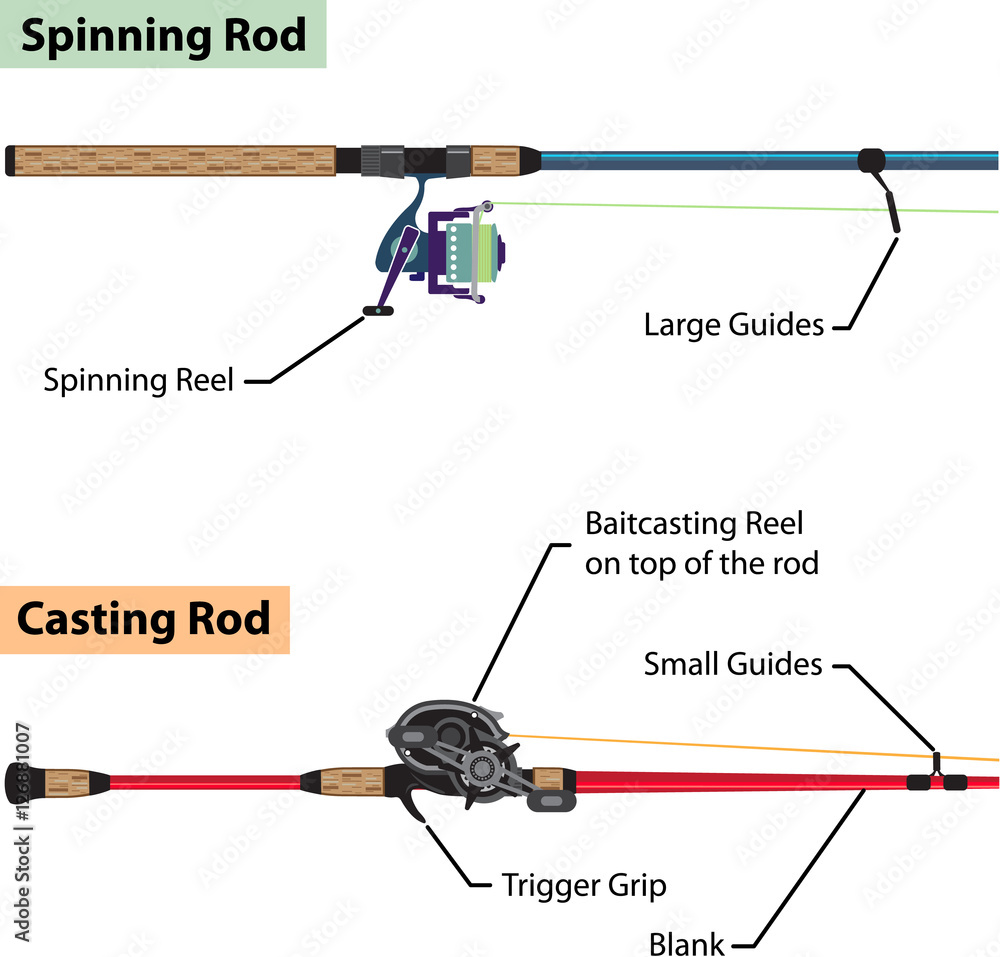 Diagram of spinning rod and baitcasting rod vector illustration Stock ...