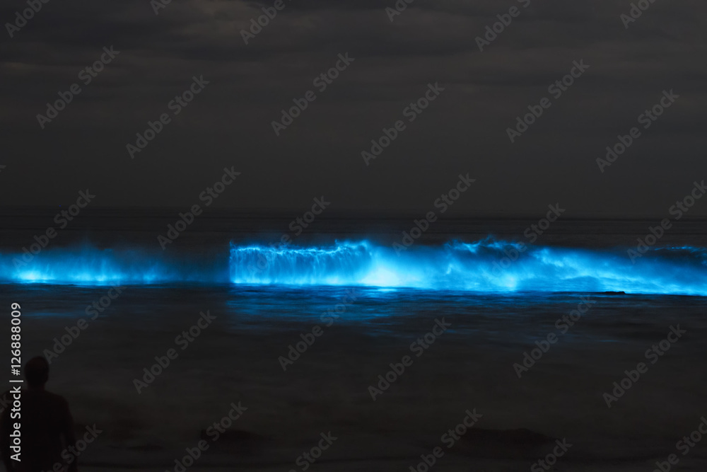 Bioluminescence Stock Photo | Adobe Stock