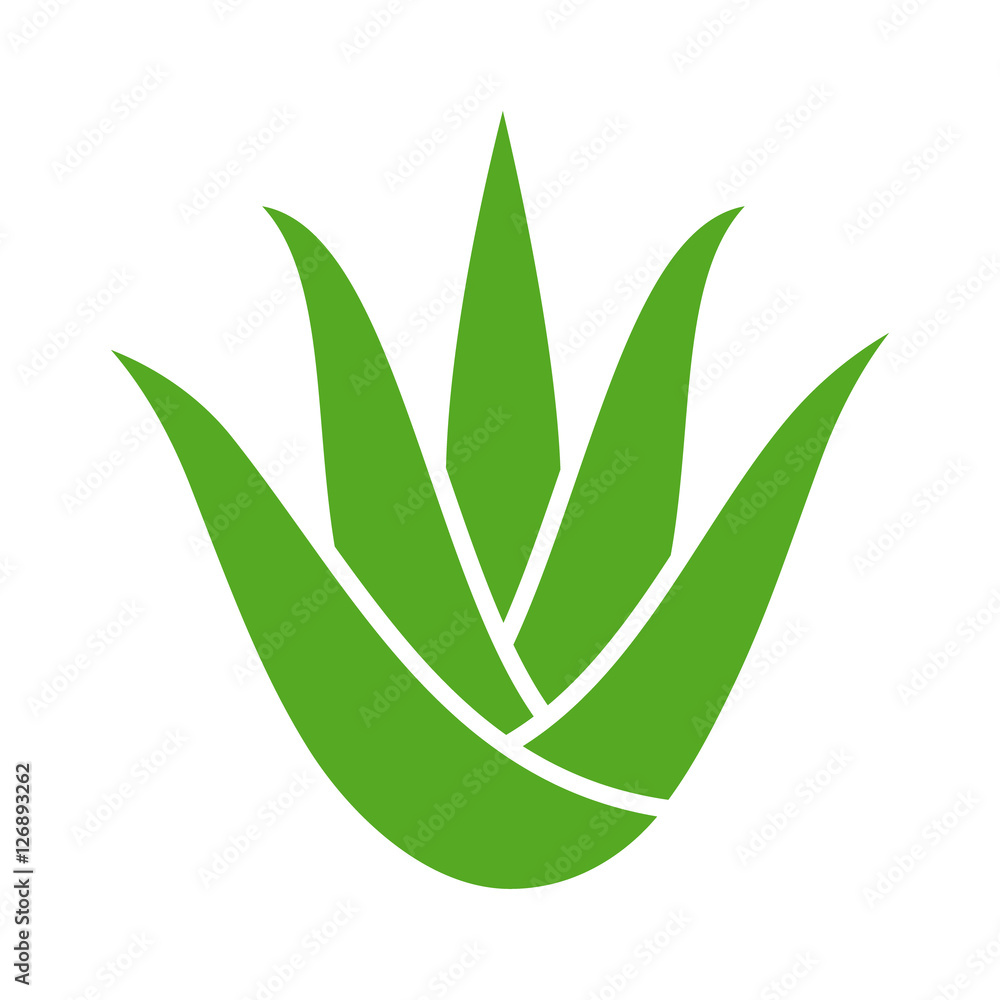 Green aloe vera plant with leaves flat color icon for apps and websites ...