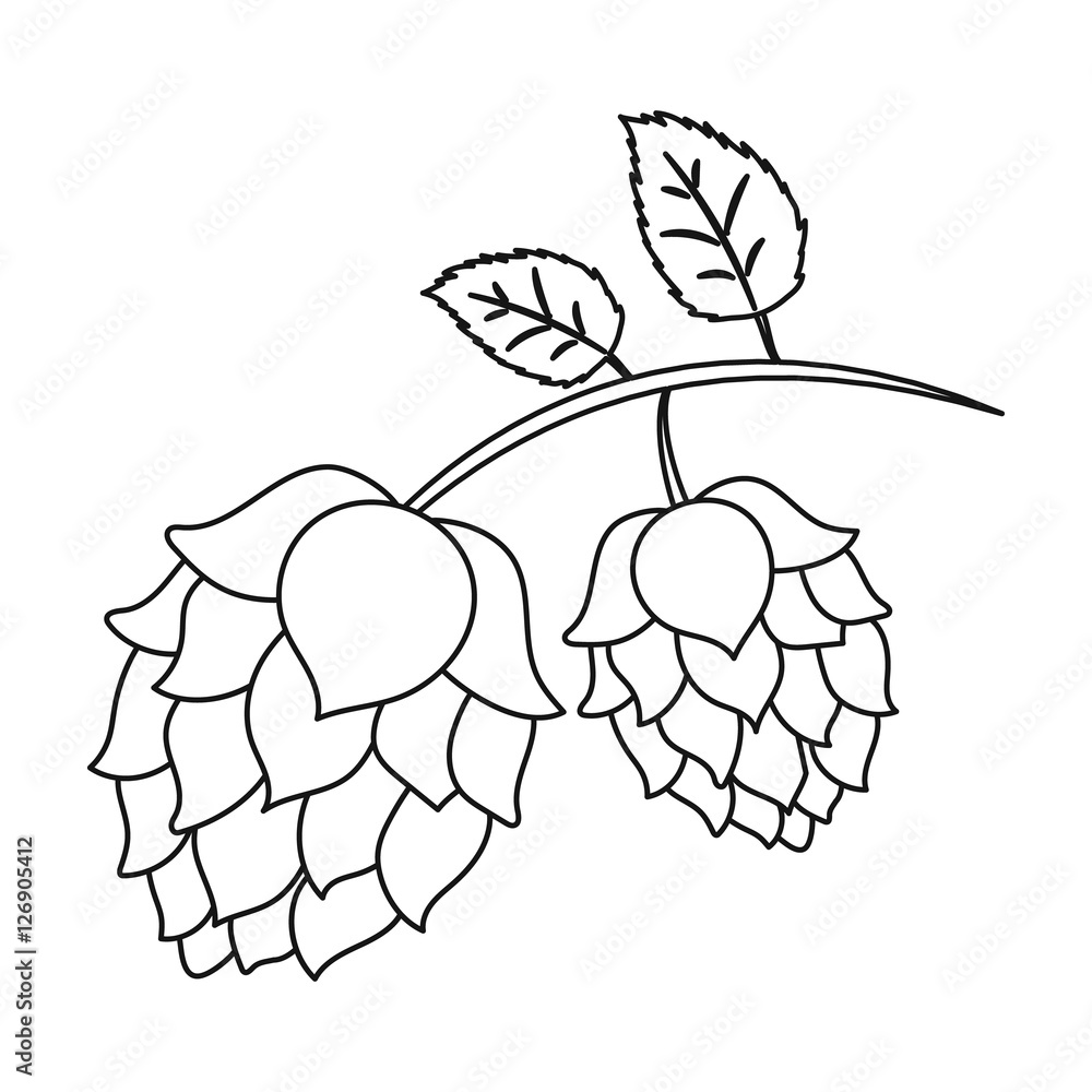 Hops icon in outline style isolated on white background. Oktoberfest ...