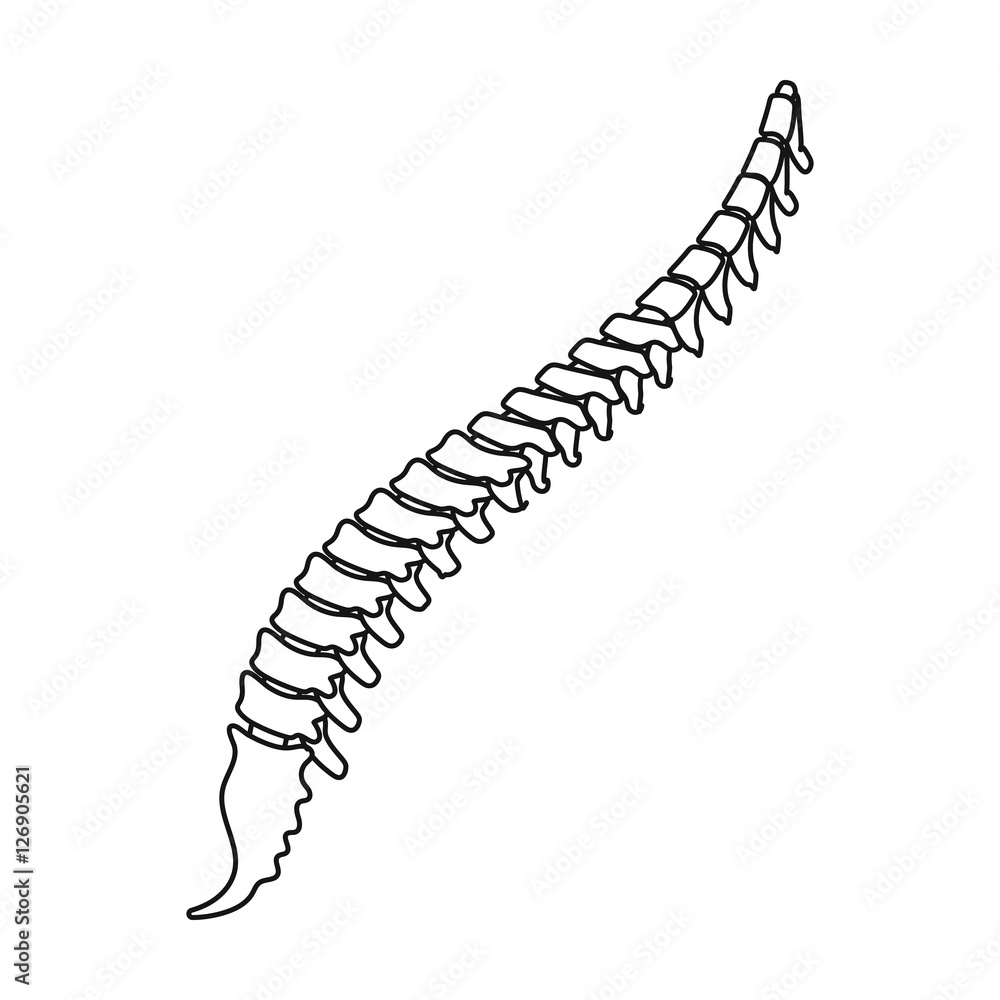 Spine icon in outline style isolated on white background. Organs symbol ...