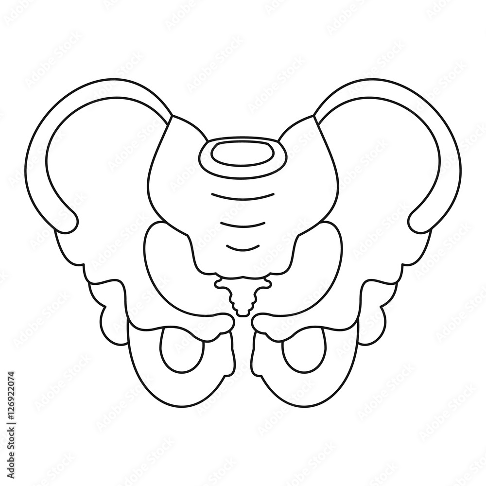 Pelvis icon. Outline illustration of pelvis vector icon for web Stock ...