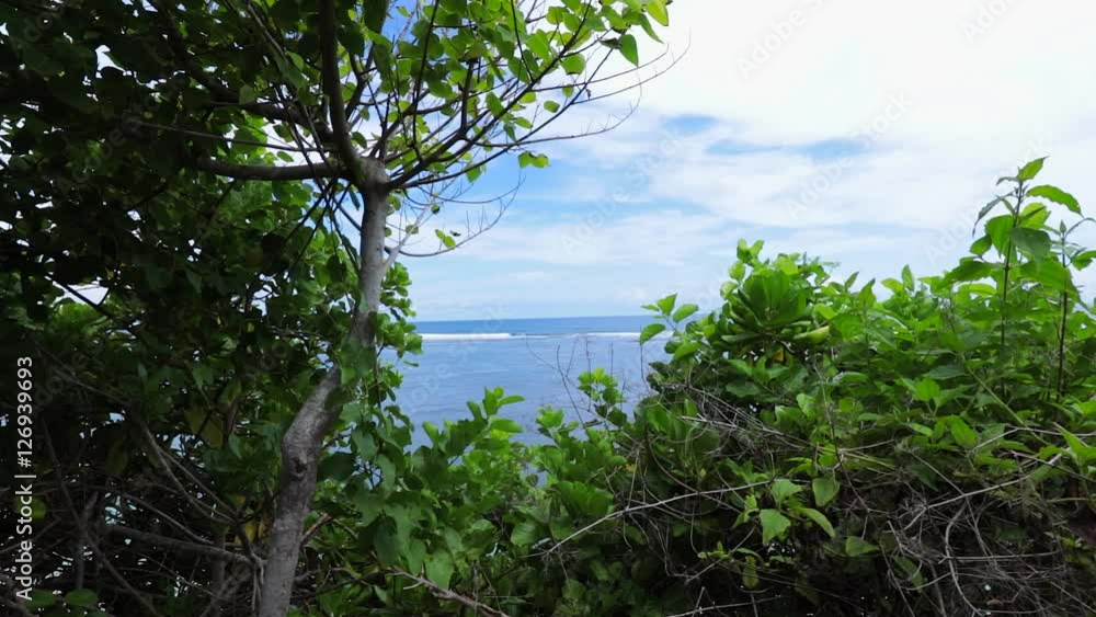 Ocean from the cliffs. Many beautiful asian plants and trees. Sunny day ...
