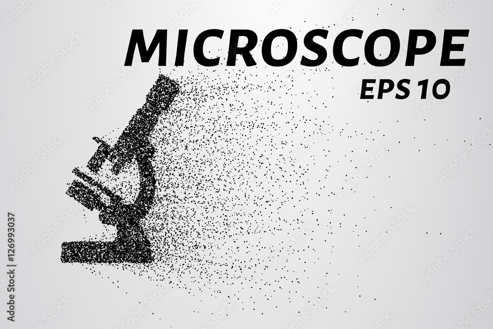 The microscope of the particles. the microscope consists of small ...