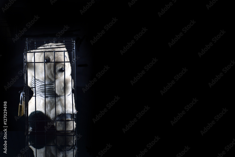 Teddy bear in a prison cell. Locked door. Isolated on black background ...