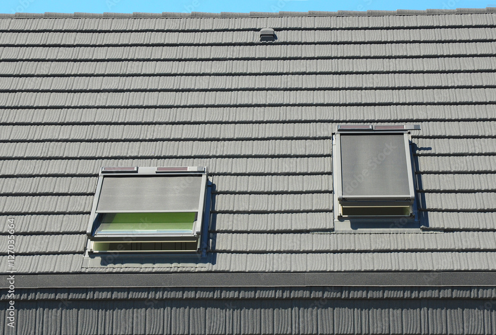 Attic Skylights with Roof Windows Shades, Blinds, Curtains for House ...