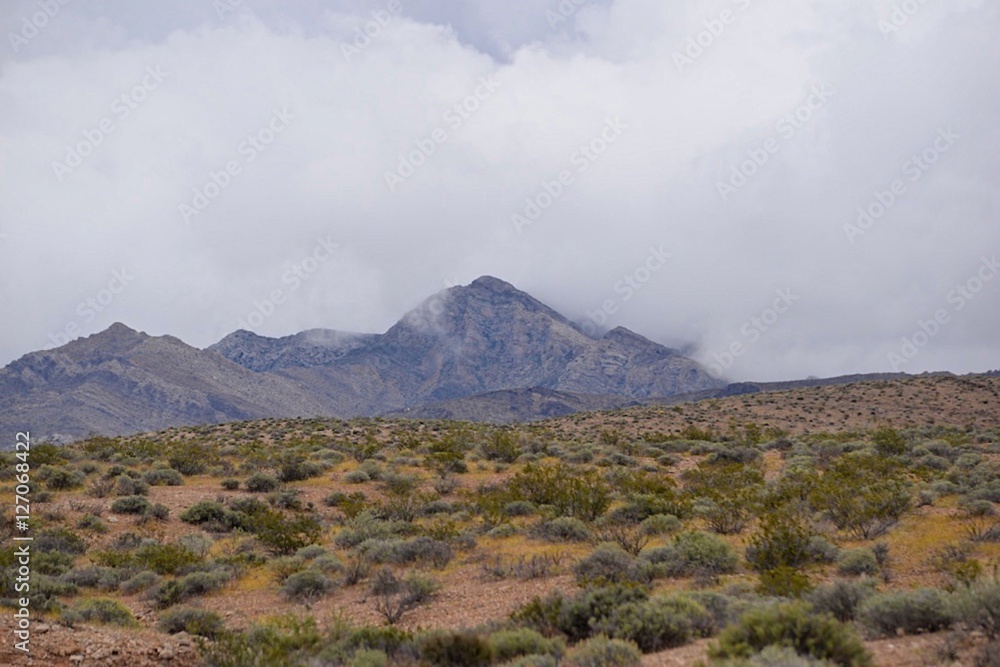 Photo & Art Print Nevada Sightseeing, The Spinning Compass