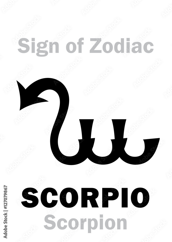 Astrology Alphabet: Sign of Zodiac SCORPIO (The Scorpion ...