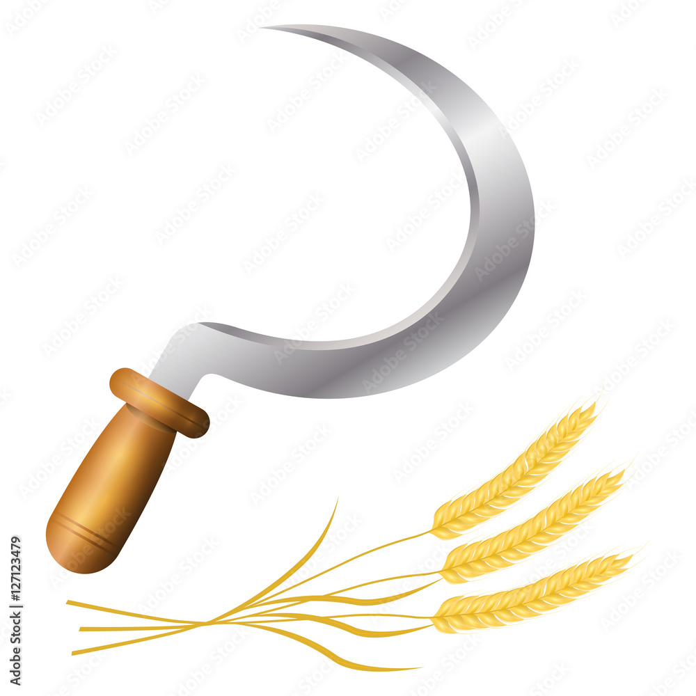 Sickle and wheat. Wheat spikelets. Stock Vector | Adobe Stock