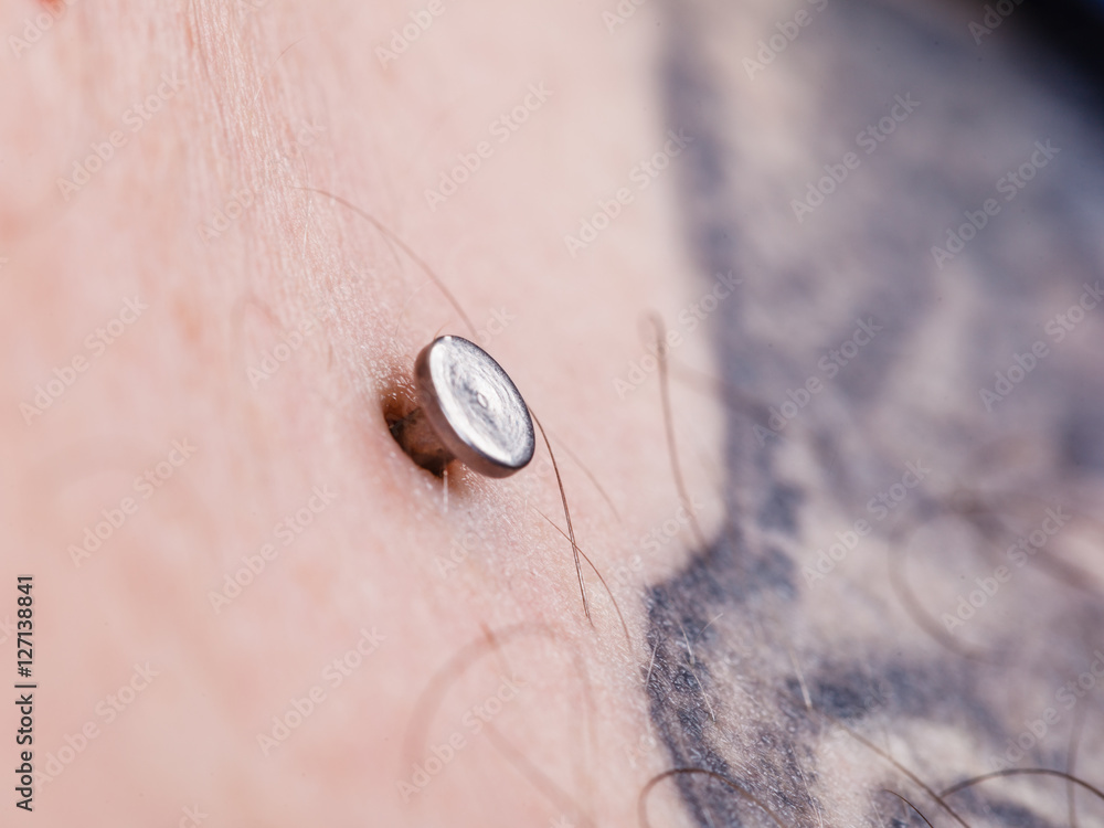 Sternum, cleavage, microdermal, surface piercing on collarbones. Stock ...