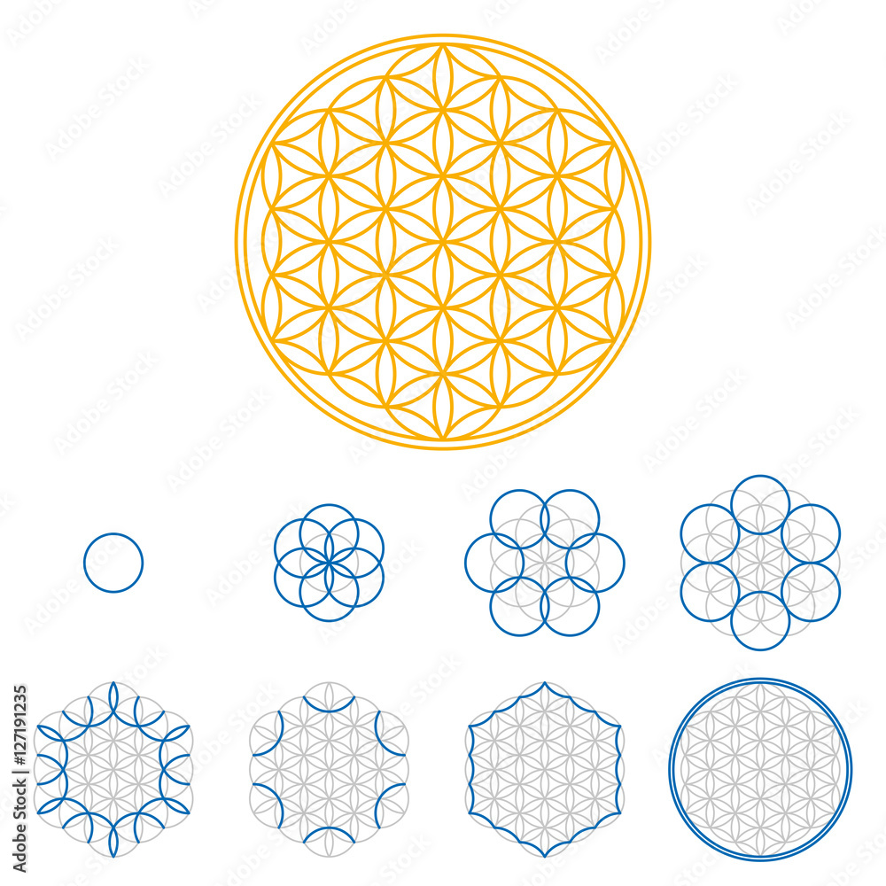Flower Of Life Vector File | Best Flower Site